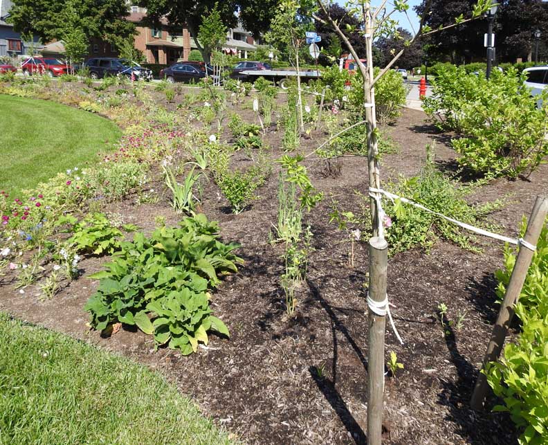 Martin House Complex